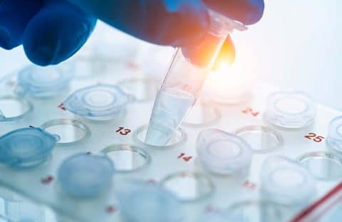 News | Precision Epigenomics